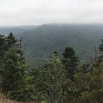 HURRICANE RIDGE - Updated June 2024 - 432 Photos & 97 Reviews - 600 E ...