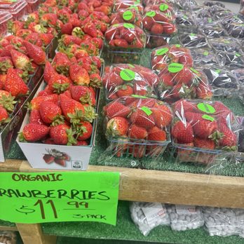 PEDRICK PRODUCE - Updated June 2025 - 1192 Photos & 605 Reviews - 6850 ...