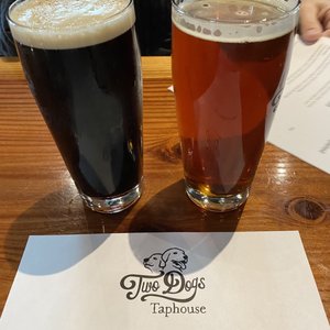 TWO DOGS TAPHOUSE - 64 Photos & 65 Reviews - 401 NE Evans St ...