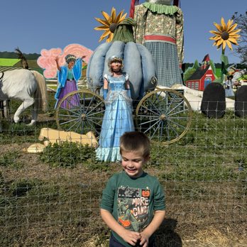 LINVILLA ORCHARDS - Updated September 2025 - 1139 Photos & 498 Reviews ...