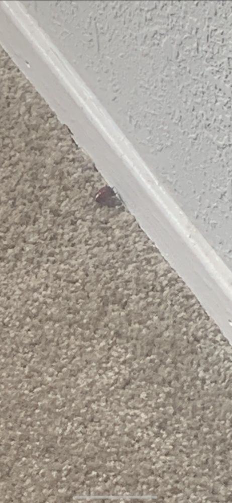 THE MARC @ 1600 - Updated July 2025 - 18 Photos - 1600 Standiford Ave ...