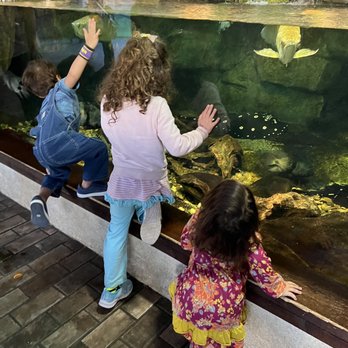 NASHVILLE ZOO - Updated November 2024 - 1352 Photos & 436 Reviews ...