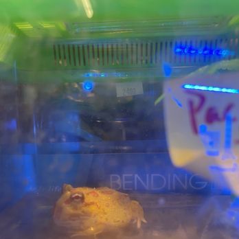 BELL BIRD FARM - Updated August 2025 - 63 Photos & 56 Reviews - 6909 ...