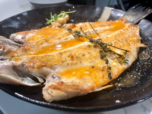 TEL AVIV FISH GRILL - 476 Photos & 323 Reviews - 19014 Ventura Blvd ...