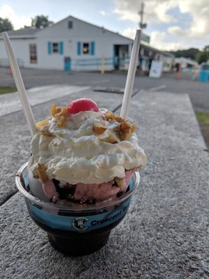 CRESCENT RIDGE DAIRY - 163 Photos & 320 Reviews - Ice Cream & Frozen ...