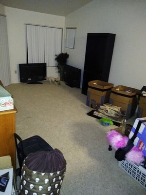 CENTRE CLUB APARTMENTS - 123 Reviews & 83 Photos - 1005 N Center Ave ...