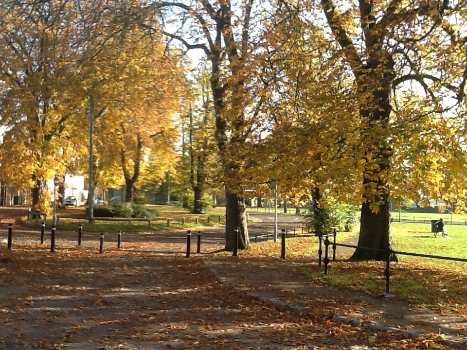 WATFORD FIELDS - 21 Photos - Watford Fields Road, Watford ...