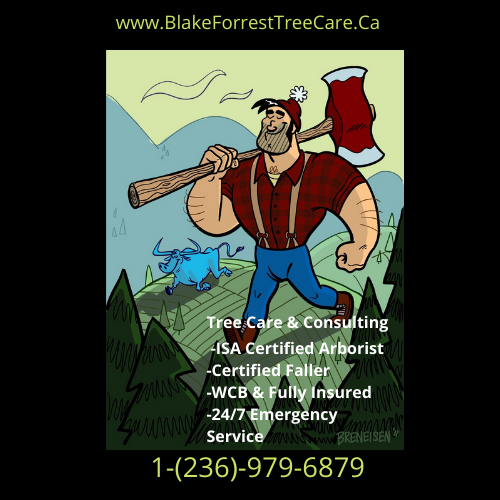 BLAKE FORREST TREE CARE - Updated December 2025 - Maple Ridge, British ...