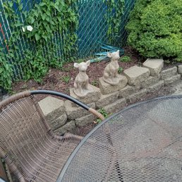 BUFFALO TAP HOUSE - Updated July 2025 - 115 Photos & 85 Reviews - 85 W ...