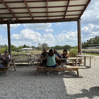 CRAZY DINGO BREWING - Updated February 2025 - 115 Photos & 54 Reviews ...