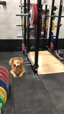 613 LIFTS - Updated December 2025 - 80 Jamie Avenue, Ottawa, Ontario ...