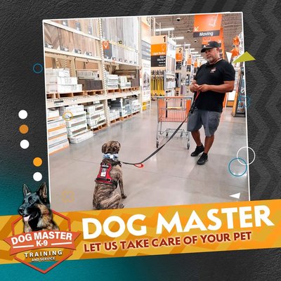 DOG MASTER K9 - Updated June 2025 - 122 Photos - 514 N St Cloud Ave ...