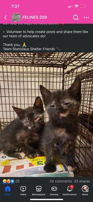 STANISLAUS ANIMAL SERVICES AGENCY - Updated September 2025 - 70 Photos ...