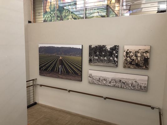 WATSONVILLE PUBLIC LIBRARY - Updated December 2025 - 12 Photos & 13 ...