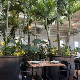 KALAYA - Updated December 2025 - 2123 Photos & 554 Reviews - 4 W Palmer ...