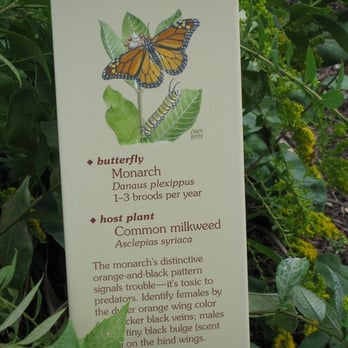 THE SMITHSONIAN BUTTERFLY HABITAT GARDEN - Updated December 2025 - 51 ...