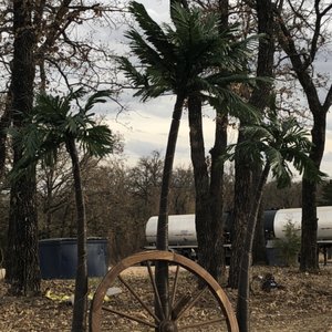 BAREHIDE RANCH - Updated April 2025 - 400 Perkins Rd, Poolville, Texas ...