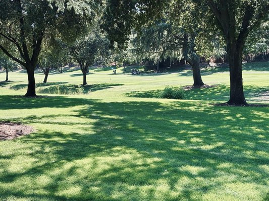 ANCIL HOFFMAN GOLF COURSE - Updated December 2025 - 83 Photos & 81 ...