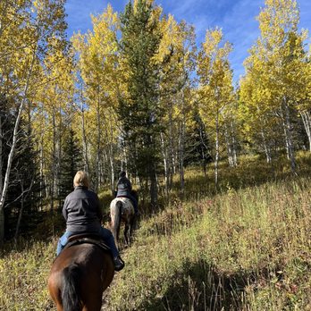 THE DIAMOND P RANCH - Updated June 2025 - 59 Photos & 68 Reviews - 2865 ...