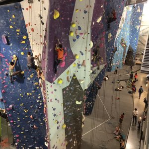 MULTNOMAH ATHLETIC CLUB - 107 Photos & 24 Reviews - Sports Clubs - 1849 ...