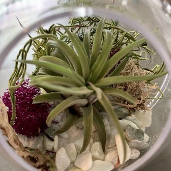 PENINSULA CENTER LIBRARY - Updated October 2025 - 180 Photos & 125 ...