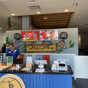 MONKEYIN AROUND - Updated September 2025 - 89 Photos & 58 Reviews ...