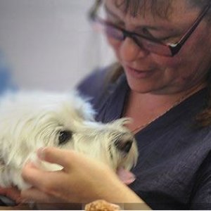 CALVERT WELL PET CLINIC - Updated June 2025 - 12 Reviews - 2240 ...