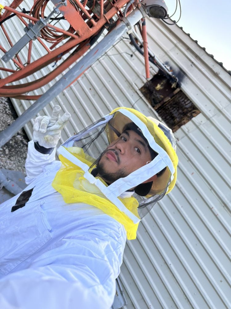 MOST VALUABLE PEST - Updated September 2024 - Humble, Texas - Pest ...