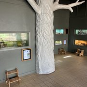 AUSTIN NATURE & SCIENCE CENTER - 168 Photos & 121 Reviews - 2389 ...