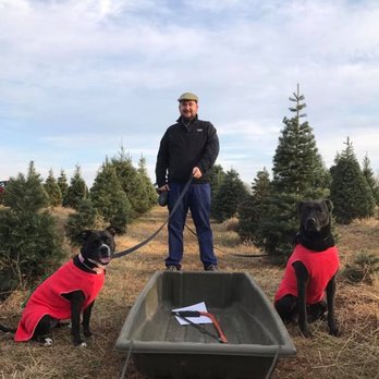 MOOSE APPLE CHRISTMAS TREE FARM - Updated May 2026 - 19 Photos & 29 ...