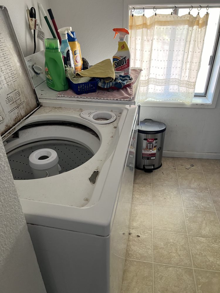 THE AXOL CLEANERS - Updated August 2025 - Request a Quote - Spokane ...