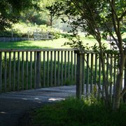 UCR BOTANIC GARDENS - 580 Photos & 119 Reviews - 1 Botanic Gardens Dr ...