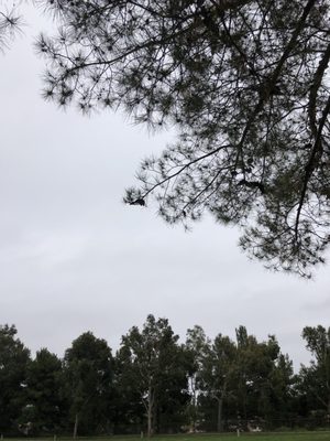 SOLANA PARK - Updated December 2025 - 10 Photos - 21601 Via Regressos ...