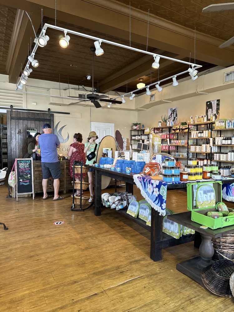 KEY WEST ALOE - Updated October 2025 - 53 Photos & 47 Reviews - 416 ...