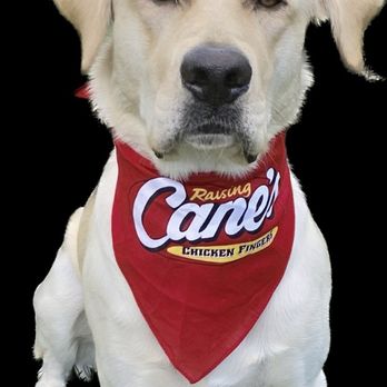 RAISING CANE’S CHICKEN FINGERS - Updated May 2025 - 45 Photos & 39 ...