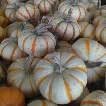 CLEMONS PRODUCE - 563 Photos & 130 Reviews - 3325 Curry Ford Rd ...