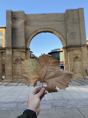 MCFERSON COMMONS - Updated November 2025 - 16 Photos - 218 West St ...