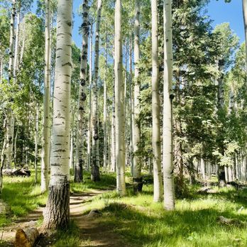 ASPEN NATURE LOOP - Updated December 2025 - 55 Photos & 18 Reviews ...