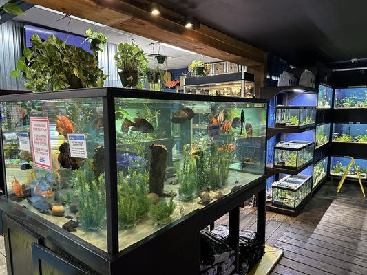 THE REEF AQUARIUM SHOP - Updated December 2025 - 133 Photos & 83 ...