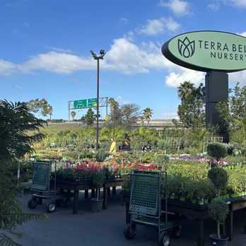 TERRA BELLA NURSERY - Updated May 2024 - 165 Photos & 33 Reviews - 3535 Camino Del Rio W, San ...