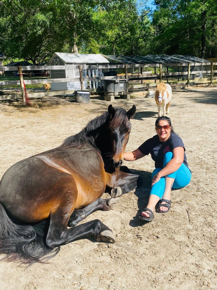 TRIPLE H RANCH - Updated May 2025 - 7205 Humphrey Rd, Vancleave ...