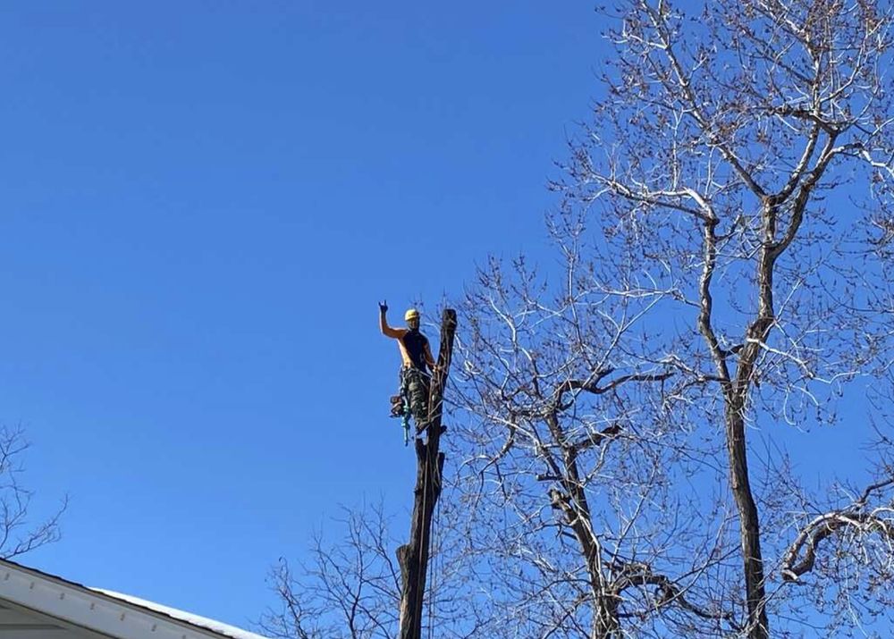 TOHO TREE CARE - Updated November 2025 - Arvada, Colorado - Tree ...