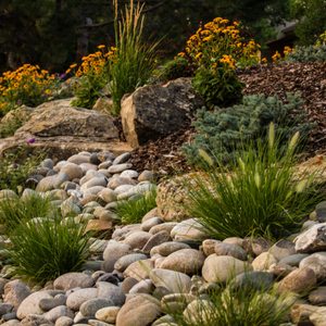 WESTERN RANCH SUPPLY - Updated December 2025 - 7305 Entryway Dr ...