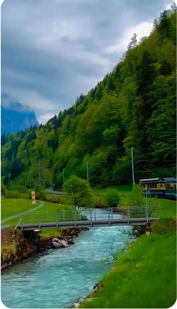 ARDÍ MEYER CLEANING - Updated April 2024 - Greenwood Lake, New York - Home Cleaning - Phone ...