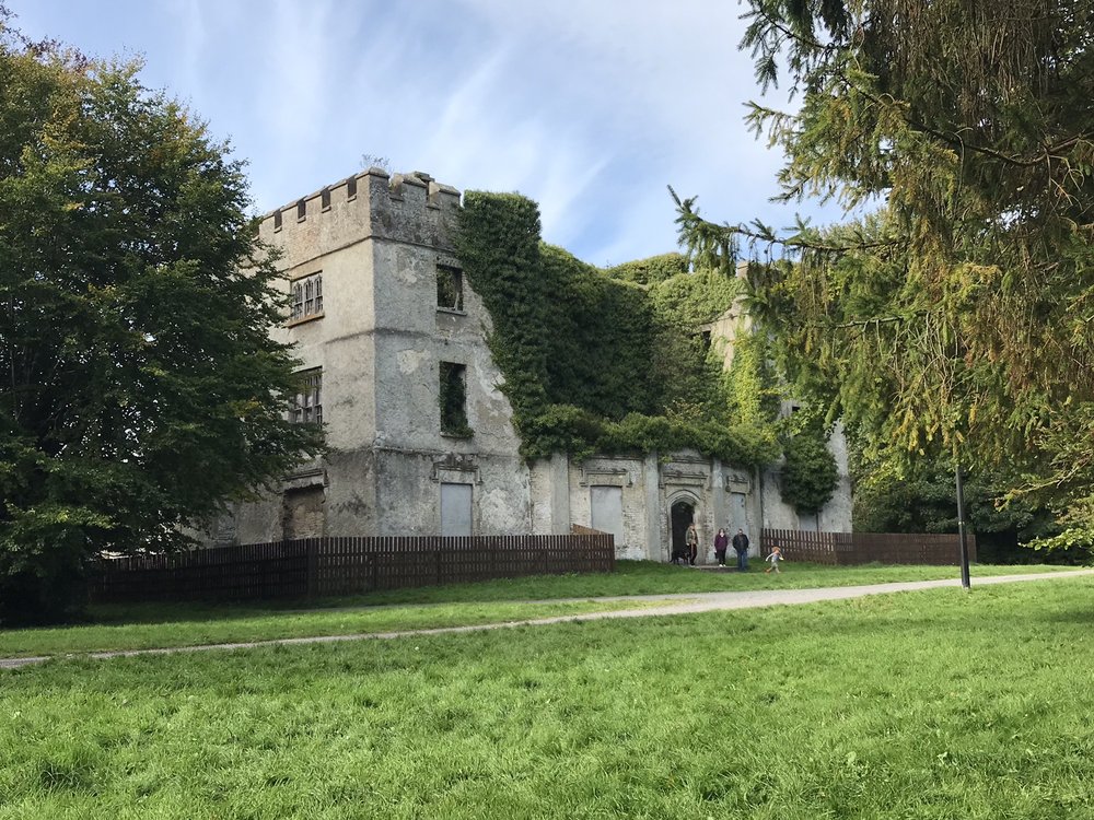 DONADEA FOREST PARK - Updated June 2025 - Donadea, Donadea, Co. Kildare ...