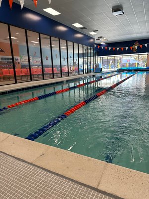 WATER WINGS SWIM SCHOOL - Updated May 2026 - 16 Photos & 30 Reviews ...
