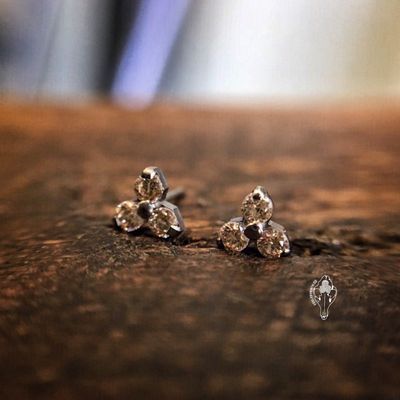 FOX LABYRINTH - Updated December 2025 - 47 Photos & 46 Reviews - 3029 ...