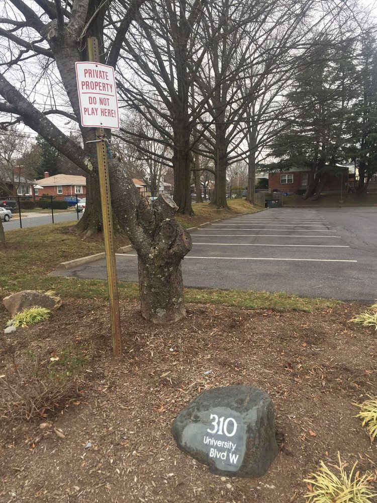 NICHIREN SHOSHU MYOSENJI BUDDHIST TEMPLE - 11 Photos - 310 University ...