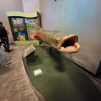 THE DISCOVERY - Updated March 2025 - 582 Photos & 271 Reviews - 490 S ...