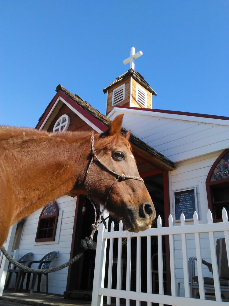 LAZY T RANCH - Updated January 2026 - 123 Photos & 35 Reviews - 4218 ...